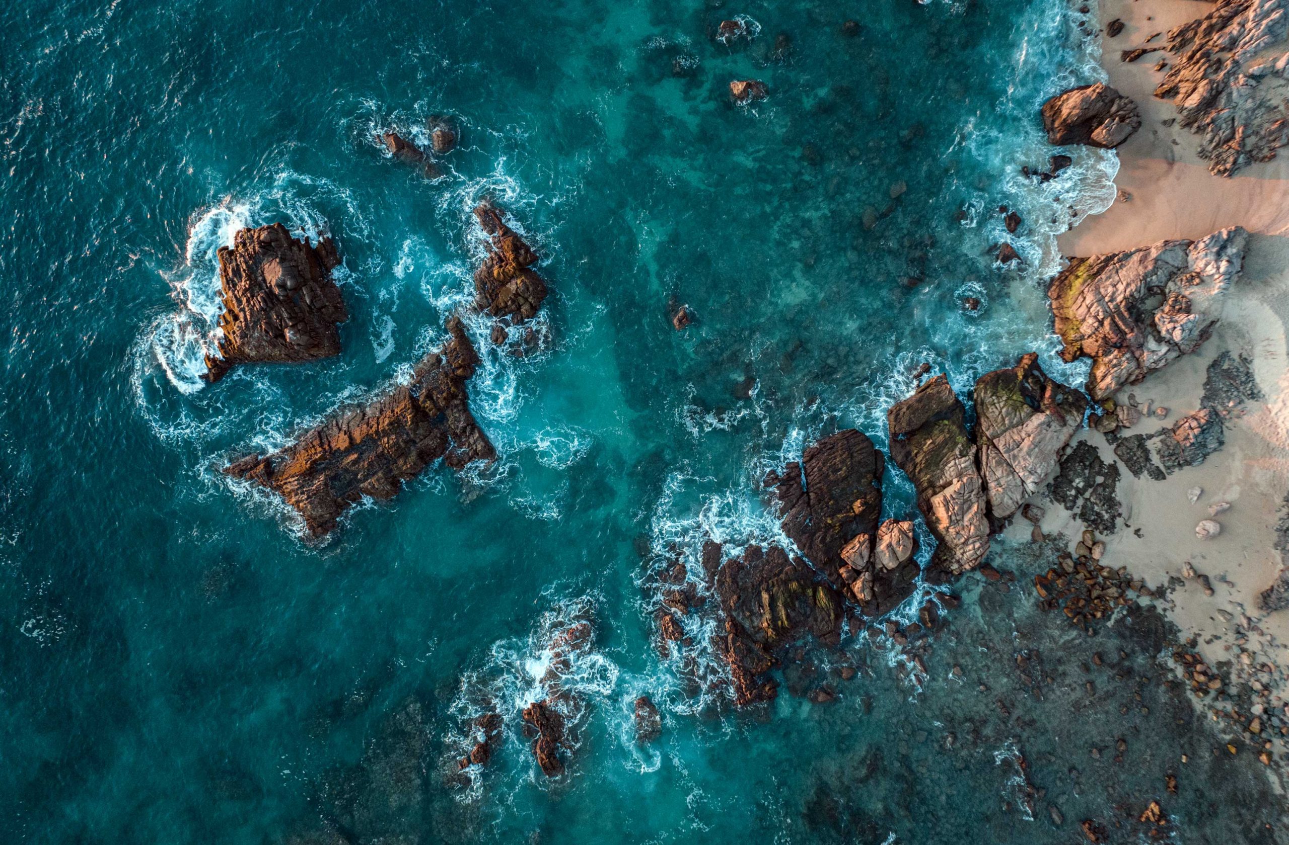 Welcome to Baja Dive Guide